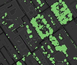 Tree Canopy Cover – Mapping London