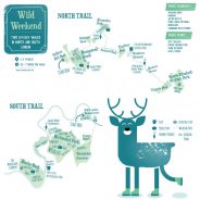 A Walk in the Urban Woods – Mapping London